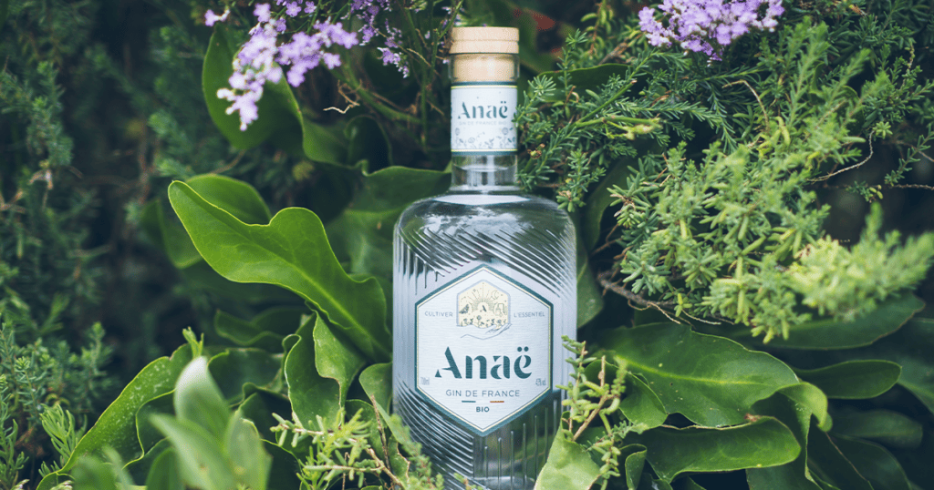 C’est quoi un Gin français ? – GINSIDERS