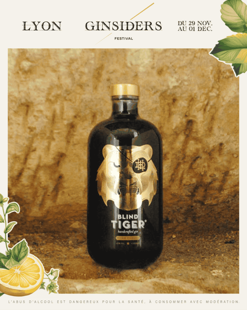 Ginsiders Festival Lyon 2024