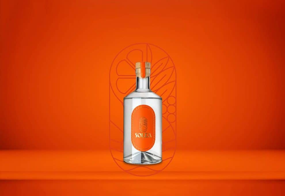 GINSIDERS – Le spécialiste du Gin & Tonic