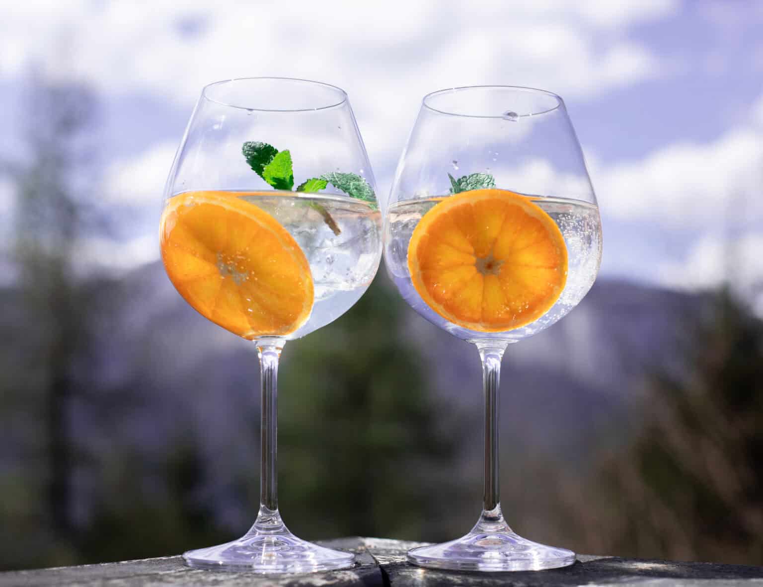 Food and gin pairings: the complete guide – GINSIDERS